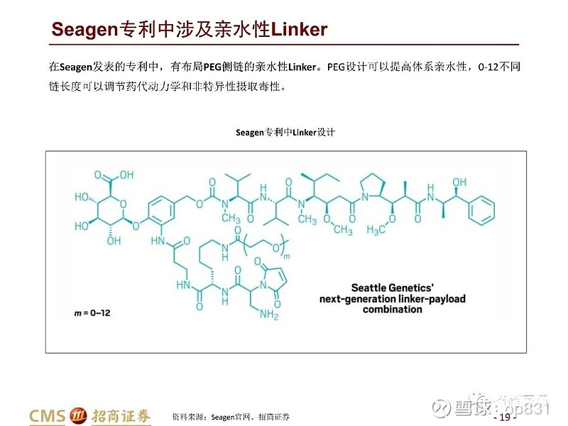 【招商医药】ADC行业深度报告：ADC分子比较框架、未来趋势与代表企业观点 前言 ADC（抗体偶联药物）平台内优质项目不断涌现与领域内大额交易 ...