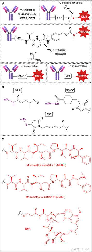 非内化ADC先行者Pyxis Oncology收购Apexigen，加速推进创新型ADC 2023年5月27日/医麦客新闻 eMedClub ...