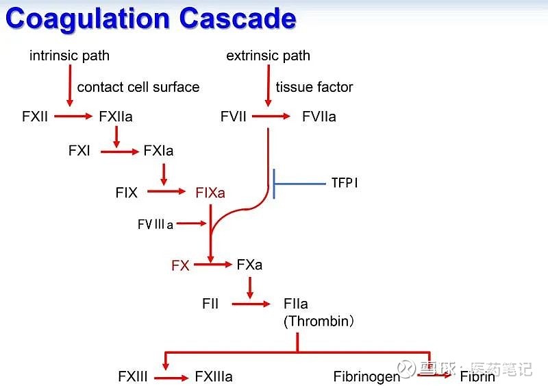 全球首款：辉瑞TFPI抗体三期临床成功 Armstrong 2023年5月30日， 辉瑞 宣布Marstacimab治疗A型和B型血友病的三期 ...