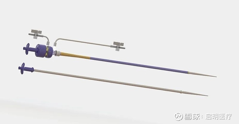 再添利器 | 启明医疗首款国产可扩张式导管鞘G Sheath获中国上市许可 NEWS 近日，中国领先的结构性心脏病整体解决方案供应商——杭州 ...
