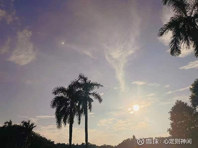 刚看到一篇文章提到“南方周末”，不由让我想起那个能看到一些美好文章的激动年代！有谁记得吗？“总有一种力量它让我们泪流满面... - 雪球