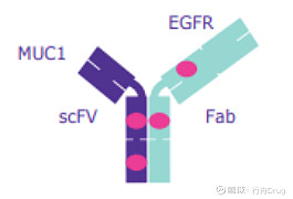 全球布局双靶向双抗ADC企业概览 点击上方的 行舟Drug 添加关注 美国艺术与科学院、美国国家科学院两院院士Raymond J. Deshaies ... - 雪球
