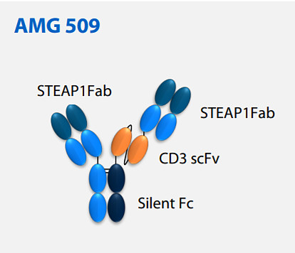 安进/百济神州双抗新药在中国获批临床，针对前列腺癌 6月6日，中国国家药监局药品审评中心（CDE）官网公示， 安进 （Amgen）和 百济神州 ...