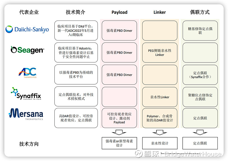 ADC药物带来的机会 1）ADC（抗体偶联药物，Antibody-drug Conjugate），将化疗药物通过靶向药递送到病灶部位，选择性杀 ...
