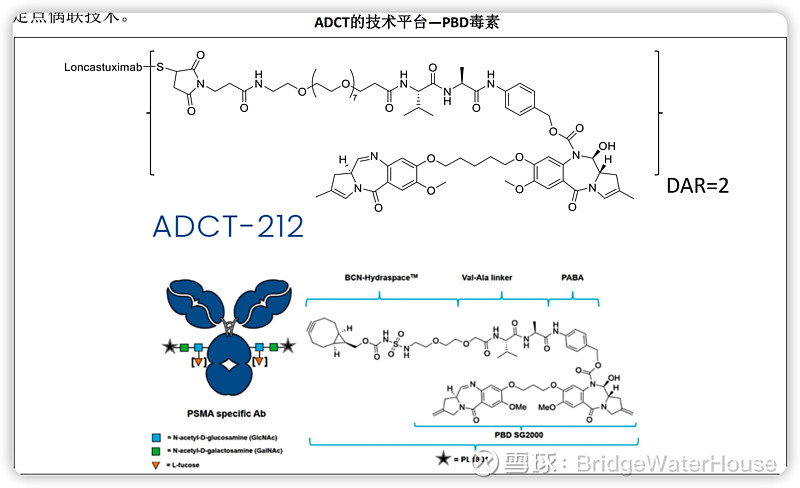 ADC药物带来的机会 1）ADC（抗体偶联药物，Antibody-drug Conjugate），将化疗药物通过靶向药递送到病灶部位，选择性杀... - 雪球
