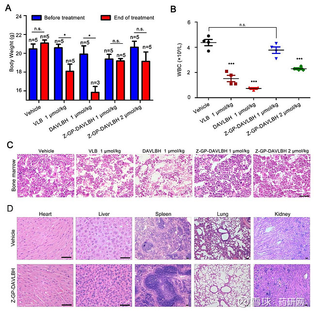 靶向实体瘤另辟蹊径：成纤维细胞激活蛋白(FAP) FAP概述FAP（Fibroblast activation protein-α）是一种97 ...