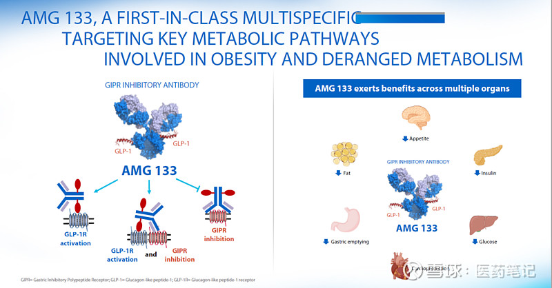 5700万美元：中生制药引进鸿运华宁GIPR抗体/GLP-1融合蛋白 Armstrong 2023年6月13日， 中生制药 宣布与鸿运华宁达成 ...