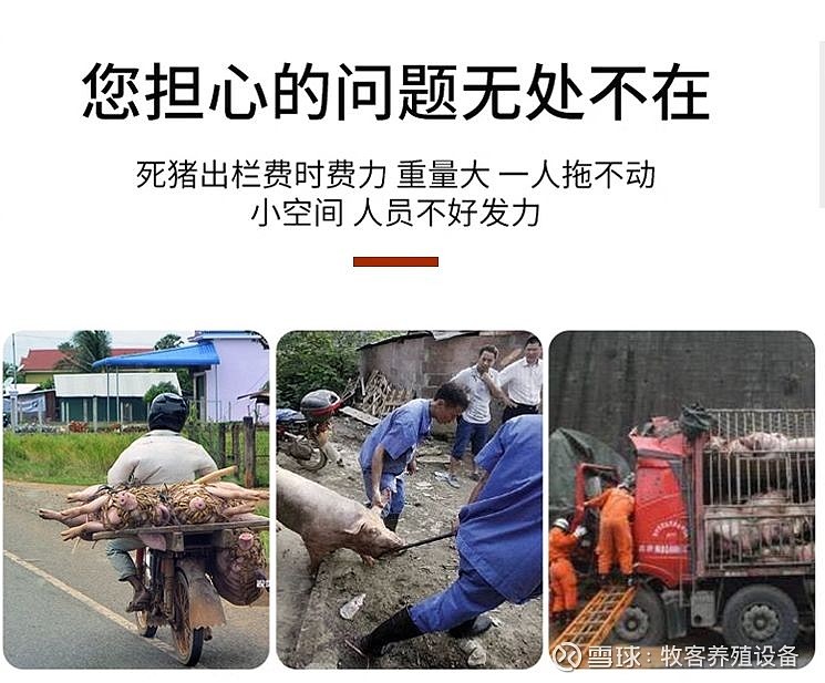 养殖场死猪拖车:节约时间和人力,减少环境污染 在养殖业中,处理死猪是一项重要而不可避免的任务。传统的处理方式往往需要大量的时间和人力,同时也
