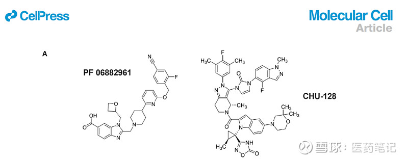 小分子GLP-1RA：辉瑞放弃第二代，继续推进第一代 Armstrong 2023年6月26日， 辉瑞 更新了小分子GLP-1R激动剂项目的 ...