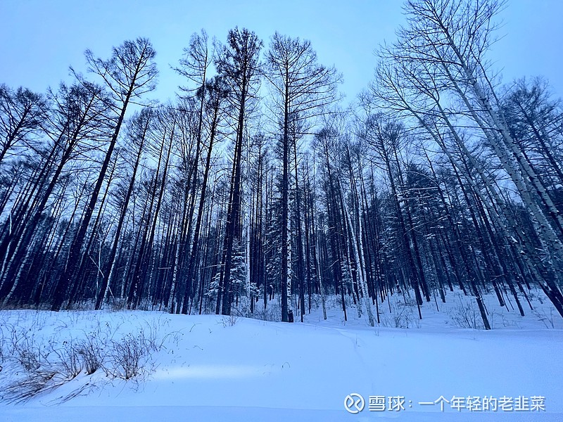 抓紧每一个变局机会 今天是本月开始做复盘交易以来最严谨执行的一天虽然回撤回补有限 但严格执行交易计划的快乐难以表达啊“计划你的交易 交易你的 ...