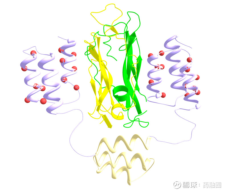 引进开发模式，累计融资11亿美元：创新出奇的Acelyrin 注：本文不构成任何投资意见和建议，以官方/公司公告为准；本文仅作 医疗健康 相关 ...