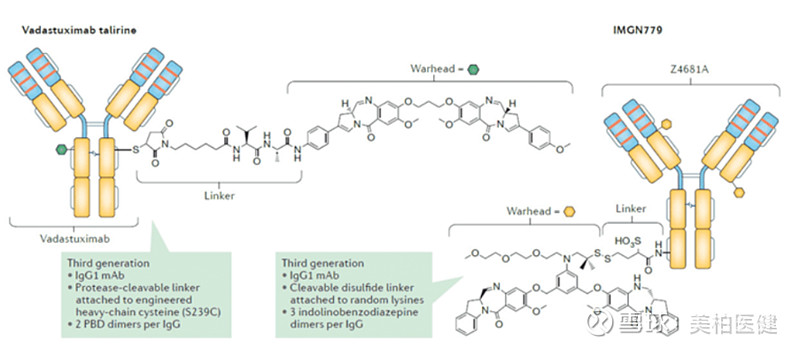 药物研发道阻且长：盘点ADC药物十大失败案例 丨猎药人俱乐部内容团队整理 目前，由于疾病复杂度提升、监管趋严、患者招募困难等原因，新药研发周期 ...