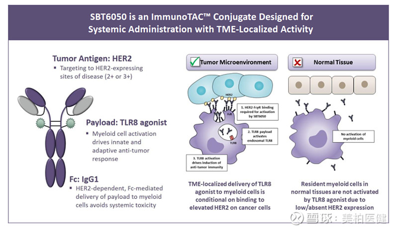 药物研发道阻且长：盘点ADC药物十大失败案例 丨猎药人俱乐部内容团队整理 目前，由于疾病复杂度提升、监管趋严、患者招募困难等原因，新药研发周期 ...