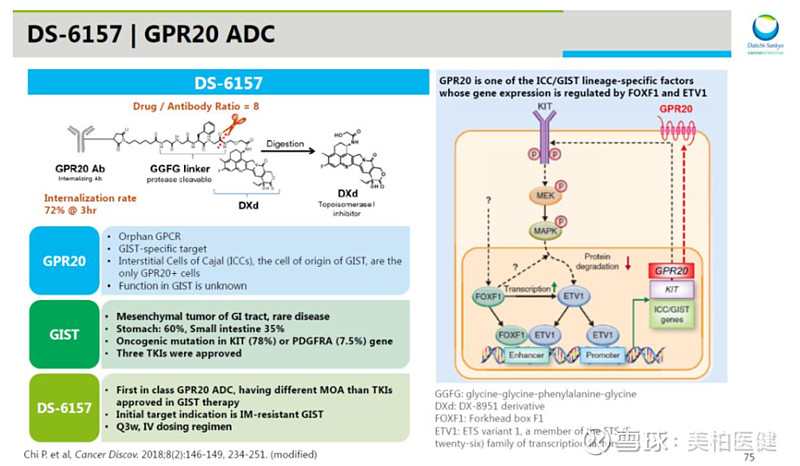 药物研发道阻且长：盘点ADC药物十大失败案例 丨猎药人俱乐部内容团队整理 目前，由于疾病复杂度提升、监管趋严、患者招募困难等原因，新药研发周期被进一步拉长，德勤研究表... - 雪球