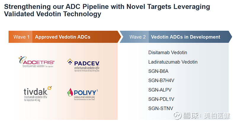 药物研发道阻且长：盘点ADC药物十大失败案例 丨猎药人俱乐部内容团队整理 目前，由于疾病复杂度提升、监管趋严、患者招募困难等原因，新药研发周期 ...