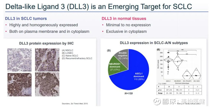 药物研发道阻且长：盘点ADC药物十大失败案例 丨猎药人俱乐部内容团队整理 目前，由于疾病复杂度提升、监管趋严、患者招募困难等原因，新药研发周期被进一步拉长，德勤研究表... - 雪球