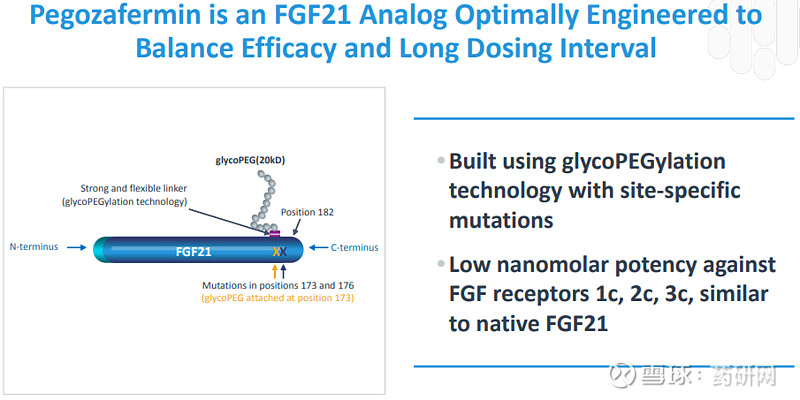 FGF21：NASH领域逆境前行现曙光 6月24日， 89bio 公布其FGF21类似物Pegozafermin治疗NASH的2b期临床数据 ...