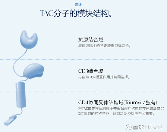 超越CAR-T和TCR-T！下一代细胞疗法TAC-T治疗实体瘤，超强抗肿瘤功效、安全性更佳 2023年7月1日/医麦客新闻 eMedClub ...