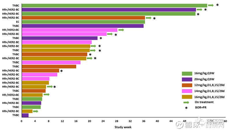 TROP2国内竞争格局 近日，科伦博泰公布，其Trop2 ADC（SKB264）治疗HR+/HER2-乳腺癌被纳入突破性疗法，这是SKB264 ...