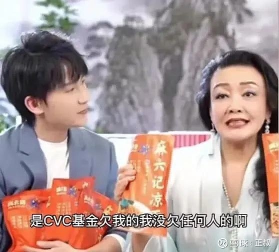 张兰败诉！98亿买的教训：如何防止家族信托被 击穿”？ 综合整理丨郭小兴（正经社，id：zhengjingshe）（本文约为2800字）俏江南创始人张兰与欧洲私募股权公司cvc 雪球