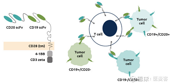 罗氏押注60亿美元，Poseida的通用双靶点CAR-T成FDA同靶点中首批 2023年7月11日/医麦客新闻 eMedClub News/--Poseida近日宣布，美国FDA已经批准了该 ...