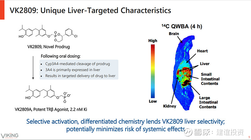 第7期 NASH及治疗药物（三） 我司每1-2周就一个药物、疾病、靶点小专题进行专题研究，近期准备把前期研究的内容简化整理一下，做成科普内容 ...
