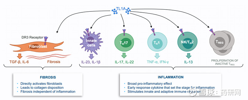 超70亿美元：辉瑞/Roivant TL1A抗体或授权给罗氏 7月12日，华尔街日报报道， Roivant Sciences 即将向罗氏出售其 ...