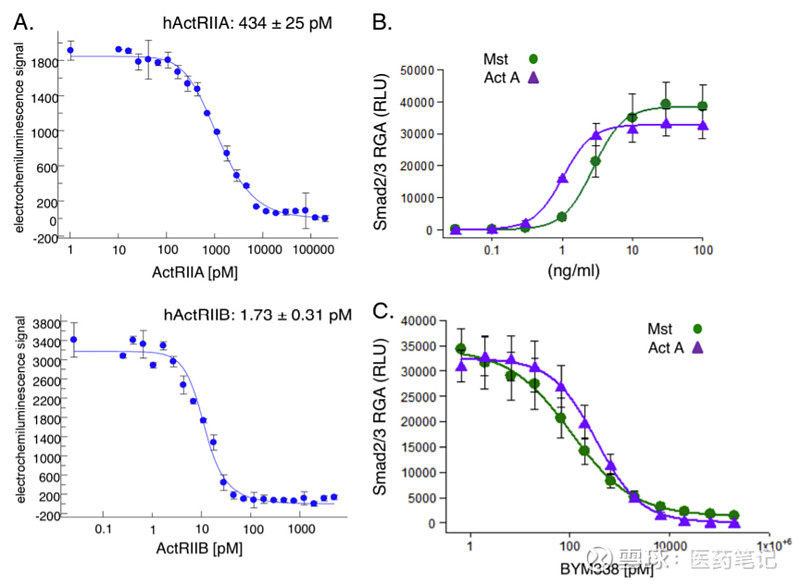 减脂肪不减肌肉：礼来19.25亿美元收购Versanis，获得ActRIIA/B抗体 Armstrong 2023年7月14日， 礼来 宣布 ...