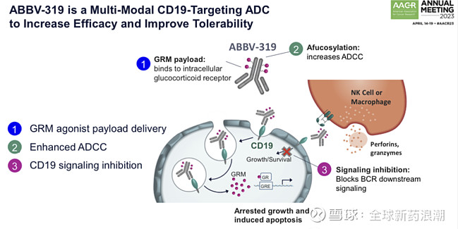 仍然在开发。艾伯维ABBV-319，抗体偶联药物（ADC）：由靶向CD19的单抗和新型糖皮质激素受体调节剂（GRM）组成... - 雪球
