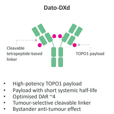 阿斯利康/第一三共TROP2 ADC首个III期研究达到PFS主要终点 7月3日， 阿斯利康 和第一三共联合宣布，Dato-DXd ...