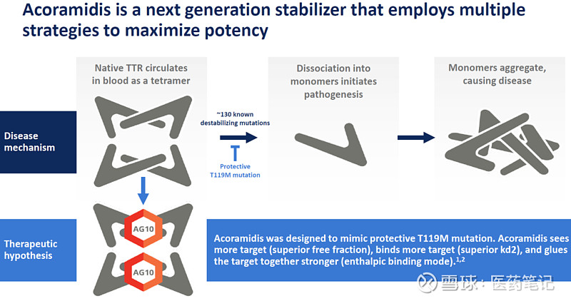 BridgeBio股价大涨63%：TTR稳定剂Acoramidis三期临床大获成功 Armstrong 2023年7月17日 ...