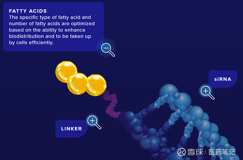 10亿美元：诺华收购DTx Pharma，递送siRNA到更多组织 Armstrong 2023年7月17日，诺华宣布收购临床前阶段生物技术 ...