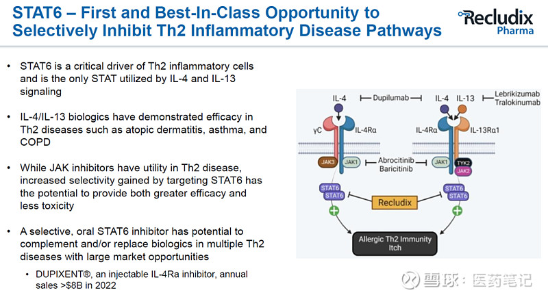 13.25亿美元：赛诺菲引进Recludix临床前STAT6抑制剂 Armstrong 2023年7月20日，Recludix Pharma ...
