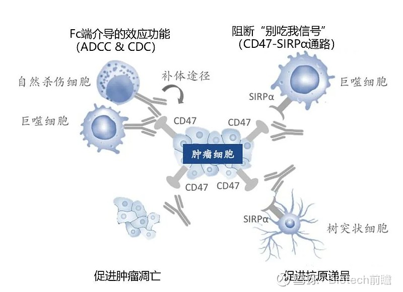 CD47靶点丨吉利德终止三期,国内二代CD47单抗能否逆袭 ——快 讯——2023年7月21日， 吉利 德将停止III期 ENHANCE研究，该研究探索Magrolimab（CD4... - 雪球