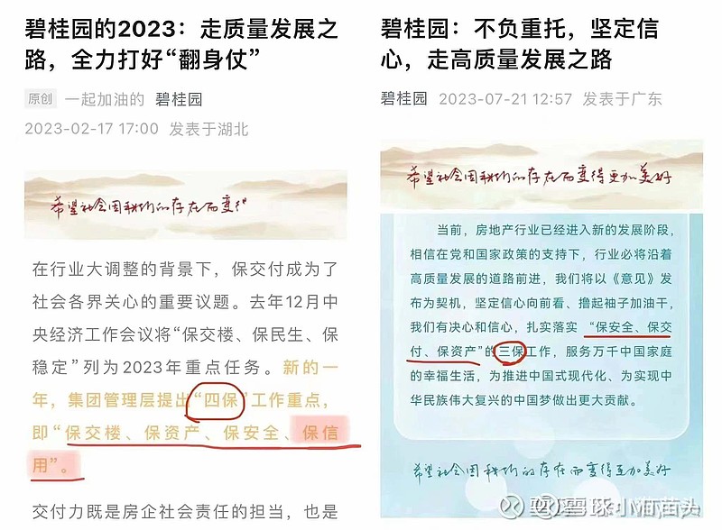 没有办法的办法碧桂园 雪球 