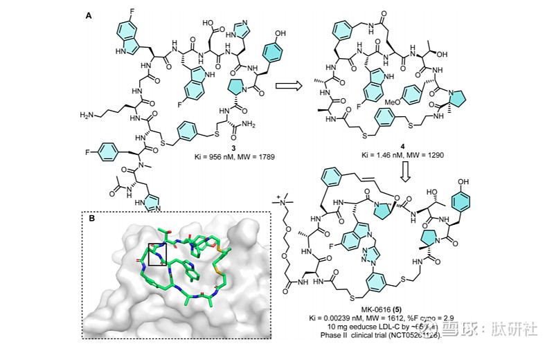 MSD口服降脂环肽进入Ⅲ期临床，环肽已成下一风口 2023-07-19，http://Clinicaltrials.gov显示MSD新注册了 ...