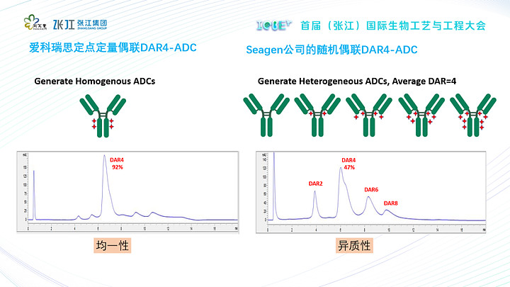 写意报告丨定点偶联与双药ADC，逃出“红海”的两块跳板？ 整理丨不器编辑丨于靖 应同写意邀请，爱 科瑞思 生物ADC药物开发总监李德亮在“网页 ...