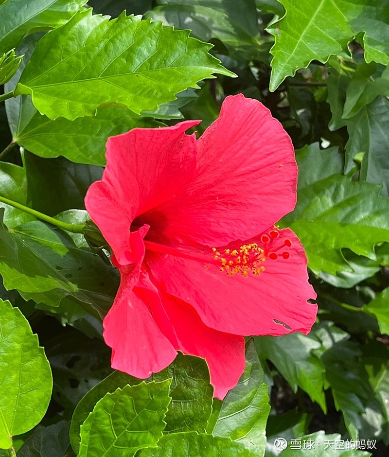 $沪深300ETF(SH510300)$ 静心积累筹码，是接下去重中之重的任务 - 雪球