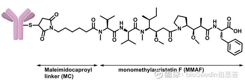ADC、抗体药潜力新靶点：ENPP3... PREFACE前言外切核苷酸焦磷酸酶/磷酸二酯酶（ENPPs）家族成员广泛参与多种关键性生理学活动 ...