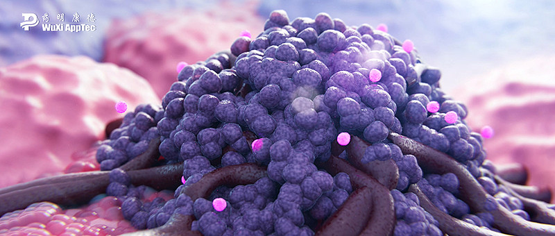 攻克“不可成药”难题，这十大特点让靶向蛋白降解剂脱颖而出 传统的药物发现主要集中在蛋白质活性的直接调控上。蛋白质活性调节剂，特别是抑制剂的开发 ...