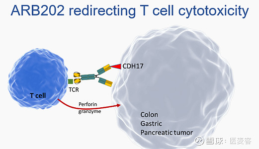 ASCO突破峰会|针对新型胃肠癌靶点CDH17的双抗ARB 202公布最新临床数据 2023年8月5日/医麦客新闻 eMedClub News ...