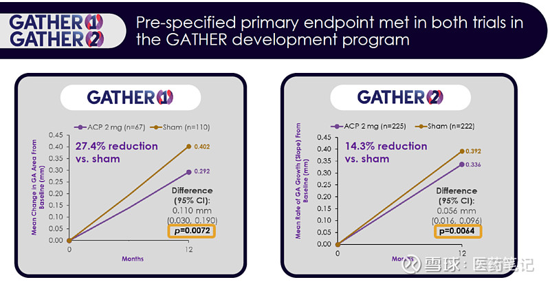 Iveric Bio：C5靶向Aptamer获FDA批准治疗地图样萎缩 Armstrong 2023年8月5日， Iveric Bio 宣布 ...