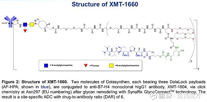 Mersana的失意，也是一代“枭雄”的落幕 近期，Mersana T herapeutics公司的高活性anti-NaPi2b抗体偶联药物 ...