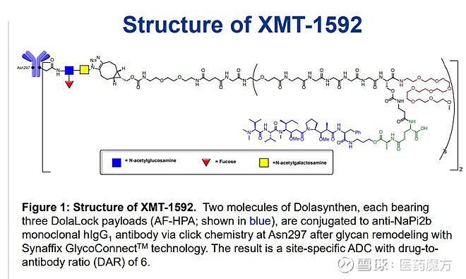 Mersana的失意，也是一代“枭雄”的落幕 近期，Mersana T herapeutics公司的高活性anti-NaPi2b抗体偶联药物upifitamab ri... - 雪球