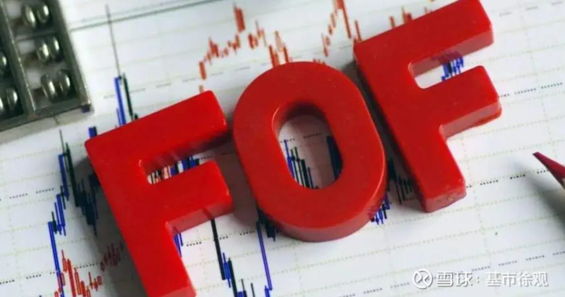 FOF适合什么需求的客户？(I) 01 不同类型FOF的适用场景是什么？我们把FOF分成两大类，分别描述适用的场景：（一）资产配置型FOF资产 ...