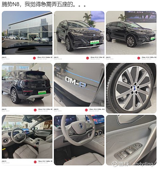 $比亚迪(SZ002594)$ 腾势N8有五座吗？难道将来会推出？ - 雪球