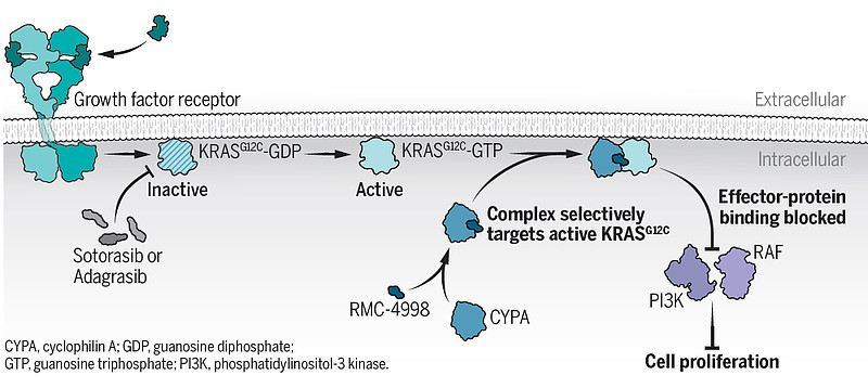 《科学》重磅！攻克“不可成药”靶点，这种小分子药物带来什么启示？ 今日，顶尖科学期刊《科学》上发表的一项重磅研究中， Revolution ...