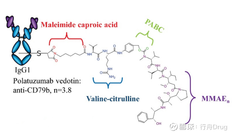 2023年，已上市ADC销售表现如何？ 前言 ADC无疑是近几年最火的研究领域之一，截至目前，全球有15款获批的ADC药物，其中13款在美国上市，1款在中国上市... - 雪球