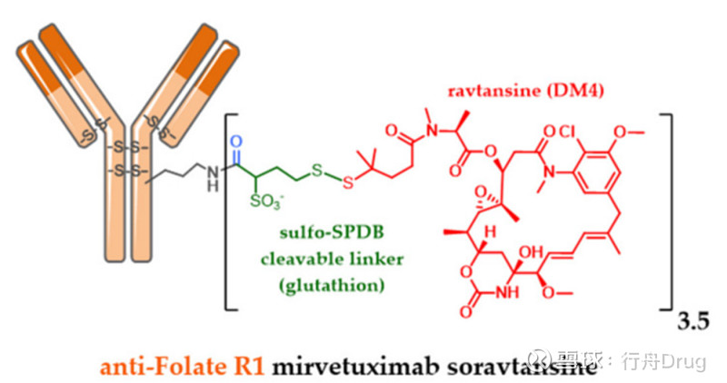 2023年，已上市ADC销售表现如何？ 前言 ADC无疑是近几年最火的研究领域之一，截至目前，全球有15款获批的ADC药物，其中13款在美国 ...