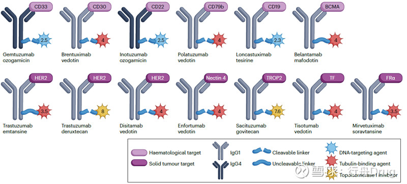 2023年，已上市ADC销售表现如何？ 前言 ADC无疑是近几年最火的研究领域之一，截至目前，全球有15款获批的ADC药物，其中13款在美国上市，1款在中国上市... - 雪球